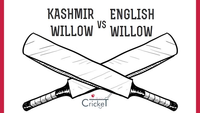 Kashmir Willow vs English Willow: Types of Cricket Bats - ItsOnlyCricket