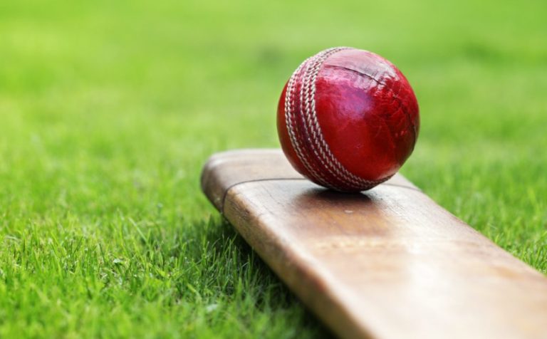 What is a No Ball in Cricket? - All 16 Types of No Ball