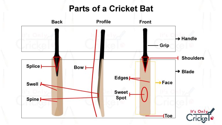 Understanding Cricket Bat Parts: A Beginner’s Guide - ItsOnlyCricket