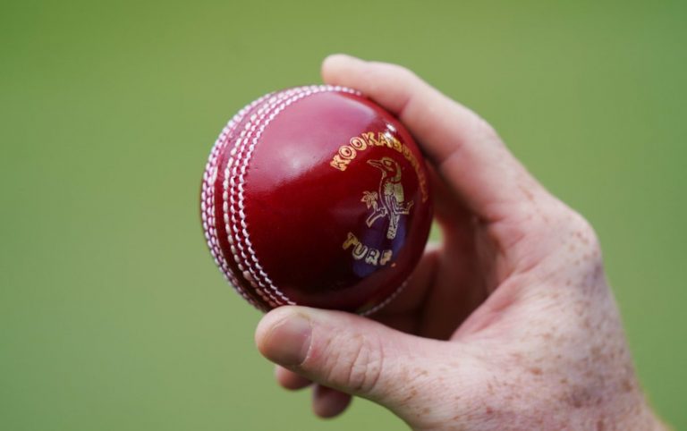 All Cricket Shots - Types of Cricket Shots Batting Technique Explained