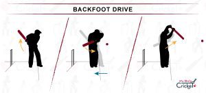 Learn 8 Basic Cricket Shots: How to Play as a Beginner
