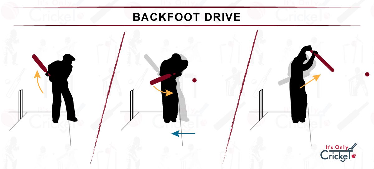 Learn 8 Basic Cricket Shots: How to Play as a Beginner