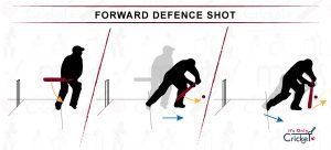 Learn 8 Basic Cricket Shots: How to Play as a Beginner