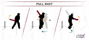 Pull Shot in Cricket - What is it and How to Play a Pull Shot ...