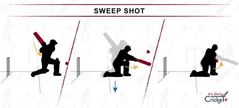 Learn 8 Basic Cricket Shots: How to Play as a Beginner