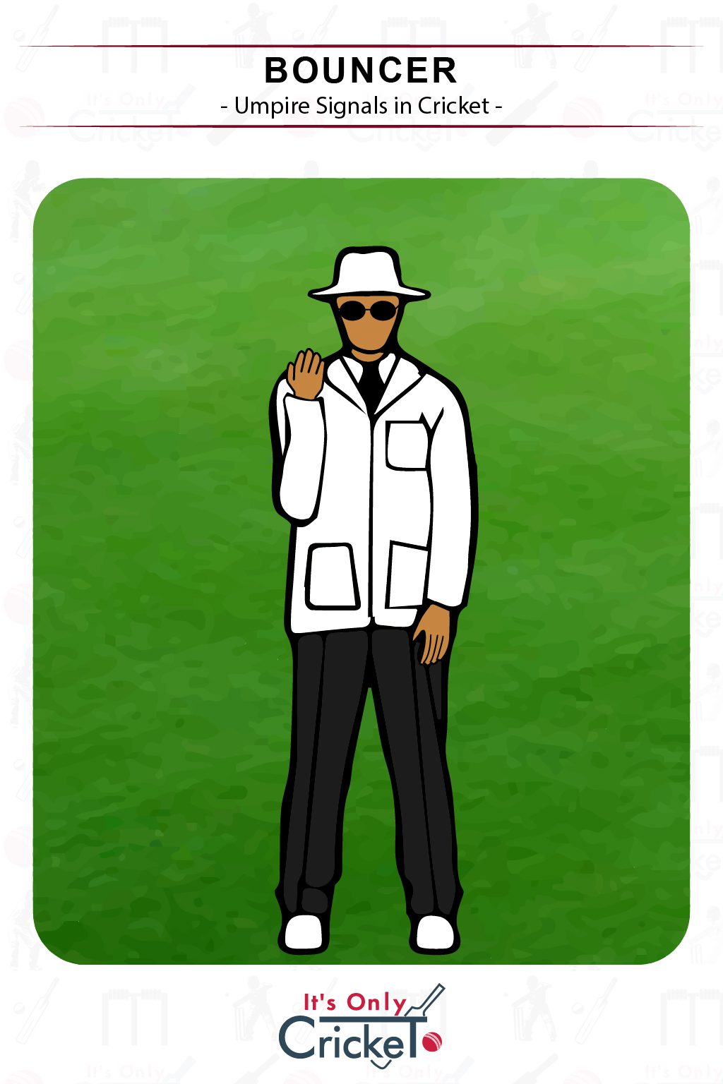 Cricket Umpire Signals: What They Mean Illustrated with Images