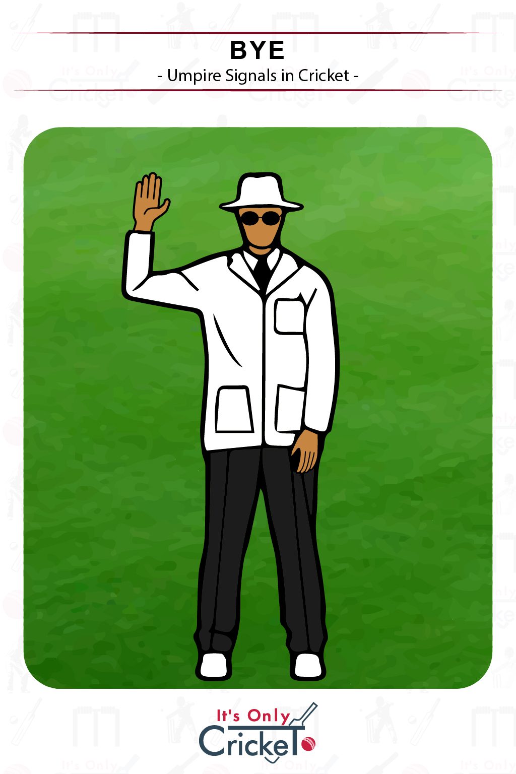 Cricket Umpire Signals: What They Mean Illustrated with Images