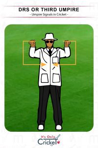 Cricket Umpire Signals: What They Mean Illustrated with Images