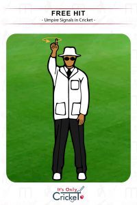 Cricket Umpire Signals: What They Mean Illustrated with Images