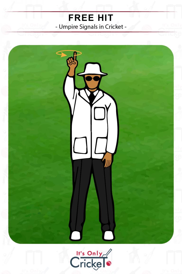 Cricket Umpire Signals: What They Mean Illustrated with Images