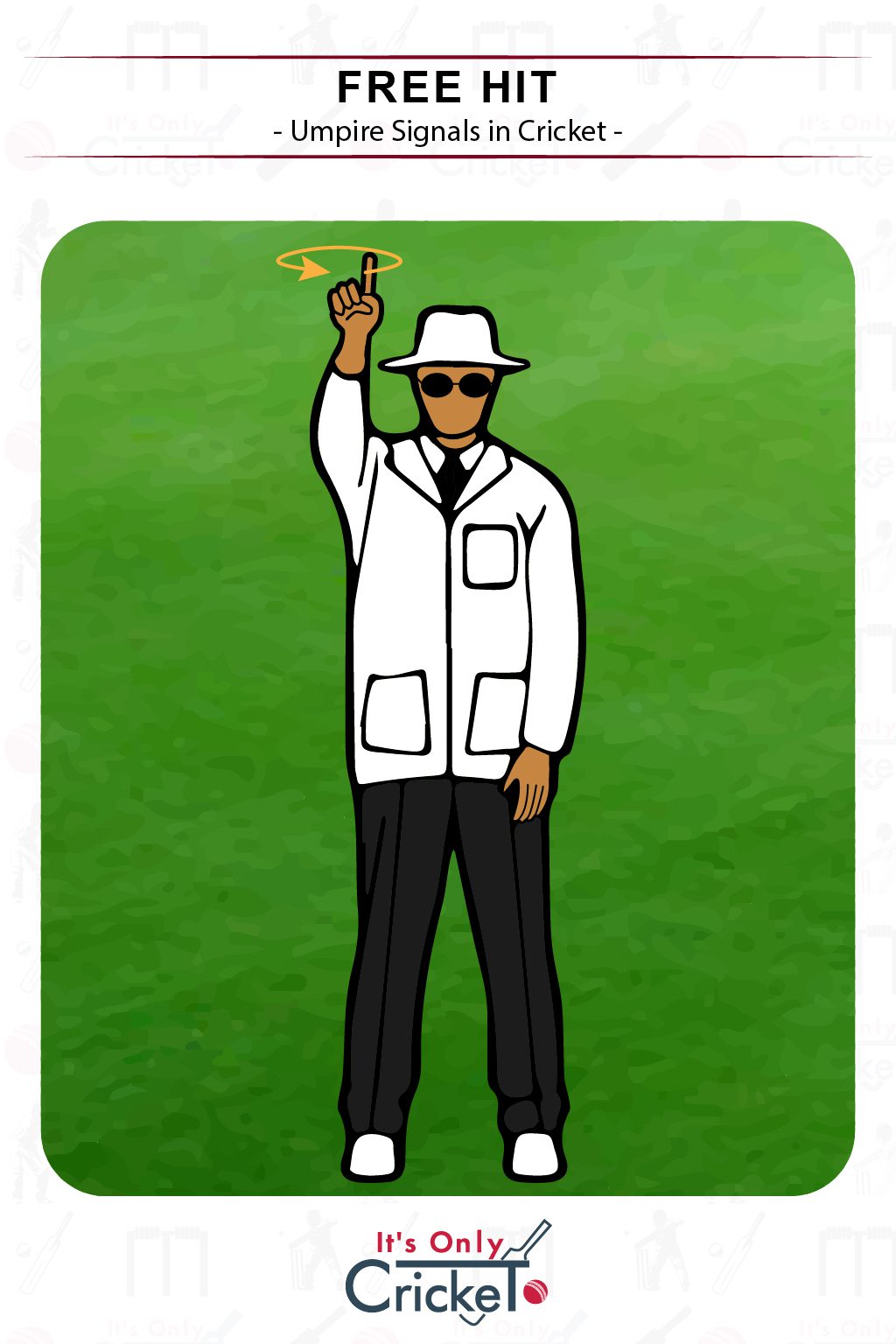 Cricket Umpire Signals: What They Mean Illustrated with Images
