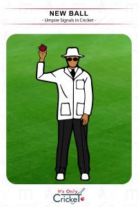 Cricket Umpire Signals: What They Mean Illustrated with Images