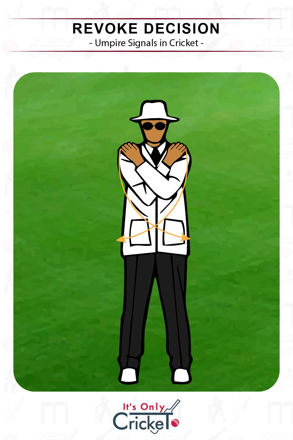 Cricket Umpire Signals: What They Mean Illustrated with Images