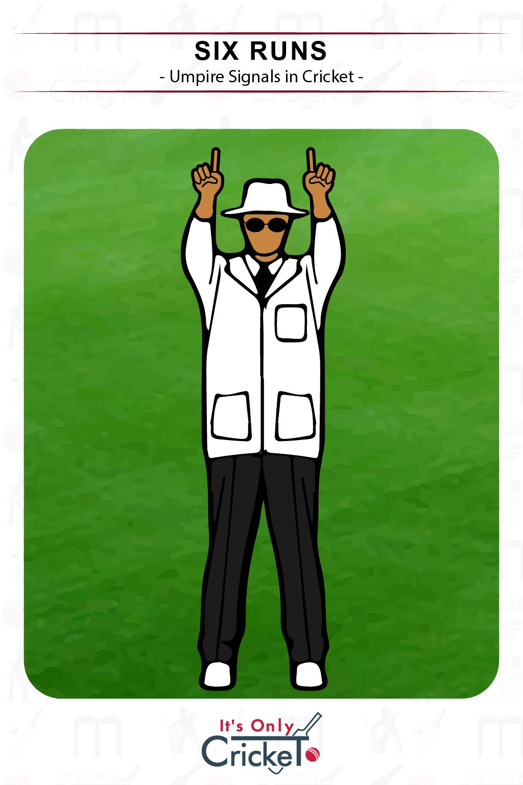 Cricket Umpire Signals: What They Mean Illustrated with Images