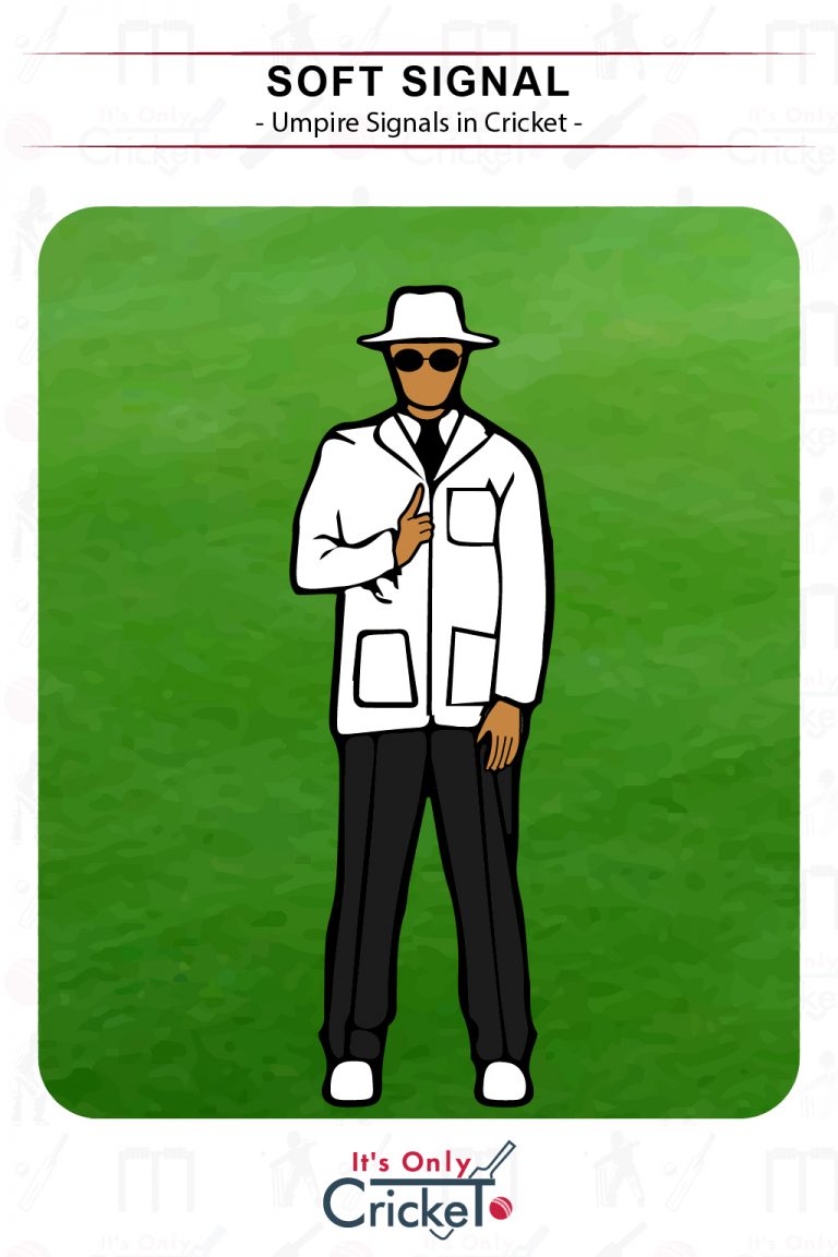 Cricket Umpire Signals: What They Mean Illustrated with Images
