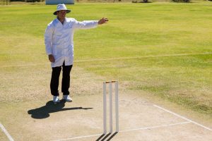 Cricket Pitch Markings: Creases and Guidelines on the Pitch