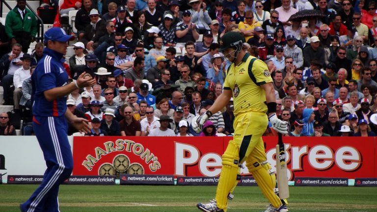 World's Best Fielders in Cricket History - Top 15 Fielders Listed