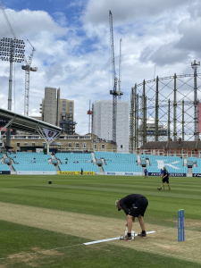 Different Types of Cricket Pitches and How to Read Them