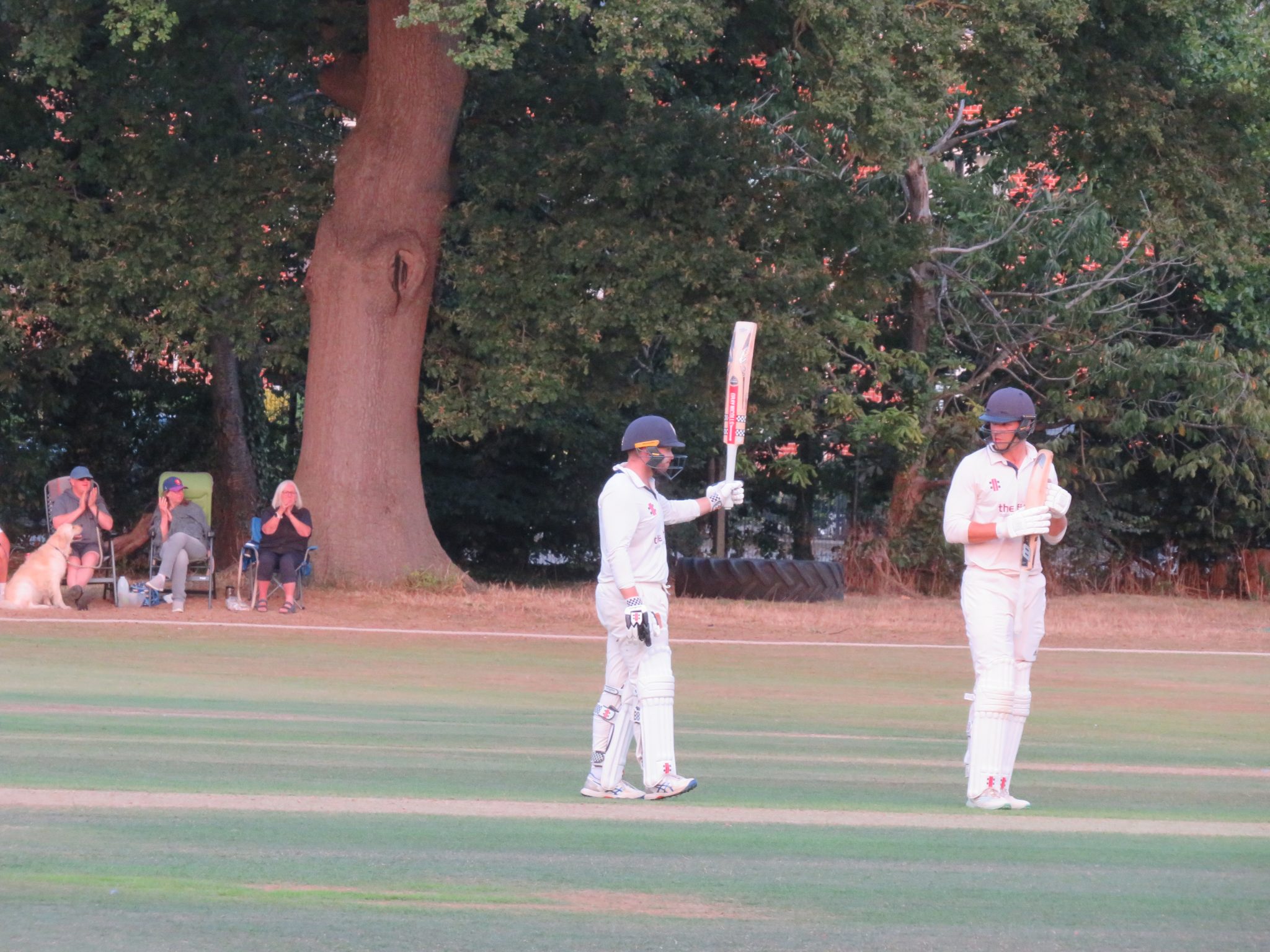 10 Fundamental Cricket Skills You Should Know - Cricket Basics